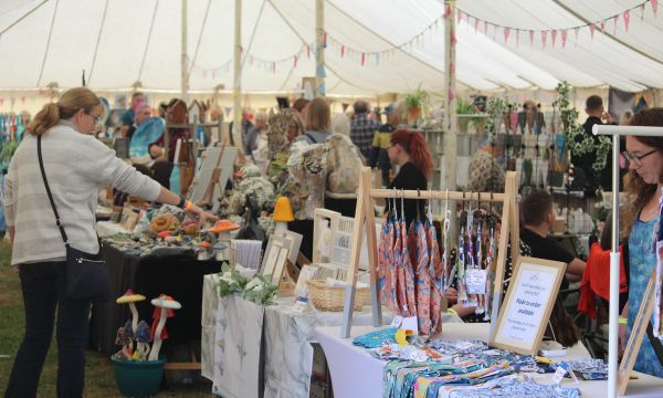 The Royal Isle of Wight County Show – A field full of fun!